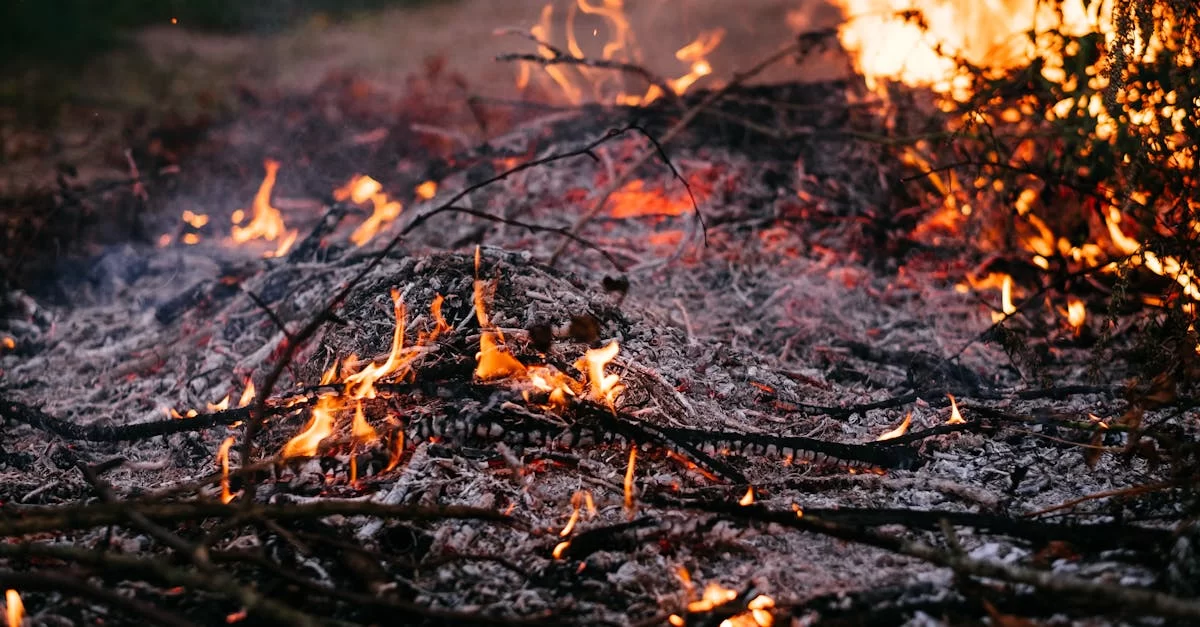 Savanna Fire Management Boosts Indigenous Carbon Projects
