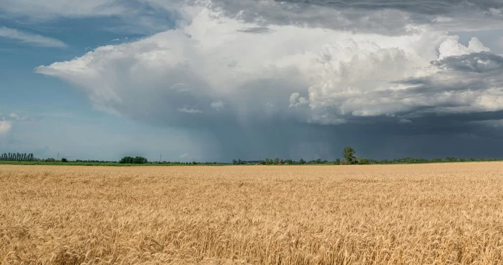 Hail Risk for Winter Crops Rises in Australia